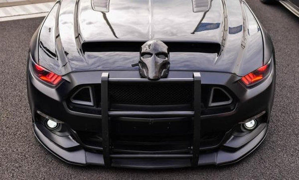 Ford Mustang 6th Gen. Bull Bar Collision Bar Protection Kit – Twenty ...